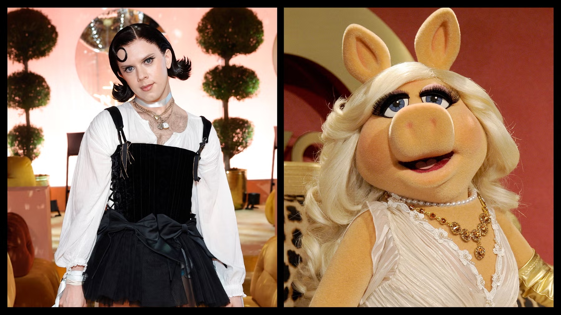 Cole Escola, Jennifer Lawrence y Emma Stone unirán fuerzas en una ...