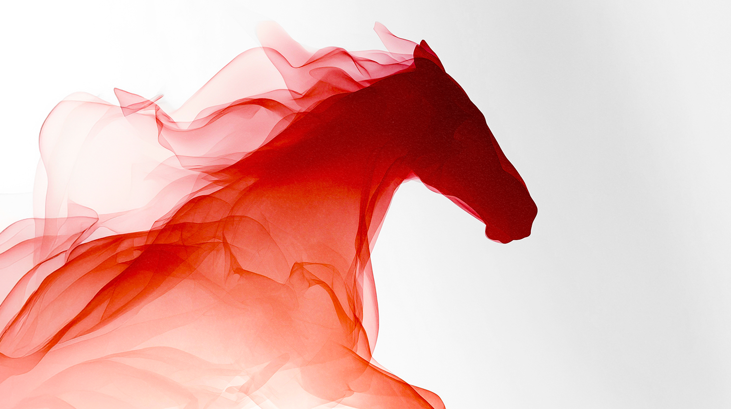 ¿Por qué el año del Caballo de Fuego importa más de lo que crees ...